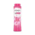 Buy Pond's Dreamflower Fragrant Talcum Powder, Pink Lily 50 gm Online ...