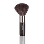 Buy BasiCare Powder Brush Compact 1's Online at Best Prices in India - JioMart.