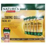 Buy Nature's Essence Advanced Glowing Gold Facial Kit 250 gm Online at Best Prices in India ...