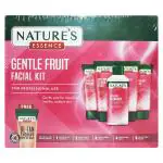 Buy Nature's Essence Advanced Gentle fruit Facial Kit 249 gm Online at Best Prices in India ...