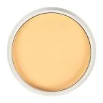 Buy Matt Look Oil Control Waterproof Pan Cake Makeup -05 Give Me Sun ...