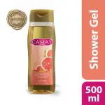 Buy Camay Paris Dynamique Shower Gel for Soft & Supple Skin 500 ml ...