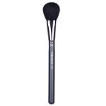 Buy Colorbar Pro Makeup Brushes-Pro Blush Brush. 1's Online at Best ...