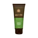 Buy SoulTree Hair Conditioner - Hibiscus & Henna with Nourishing Shikakai 100 gm Online at Best ...