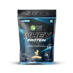 Buy Pure Nutrition Whey Blend Protein Powder - Kulfi Flavour 500 gm Online at Best Prices in ...