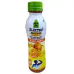 Buy Fruitnik Electro+ Rehydrate Drink - Orange Flavour 200 ml Online at ...