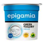 Epigamia Natural Greek Yogurt 90 g (Cup) - JioMart
