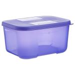 Buy Signoraware Cool Deep Violet Rectangle Plastic Container 700 ml ...