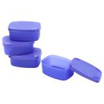Buy Signoraware Cute Violet Rectangular Plastic Container 100 ml (Set ...