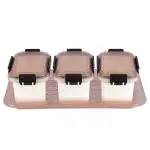 Buy Polyset Lock It Multicolour Rectangular Plastic Container (Set of 4) Online at Best Prices ...