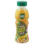 Buy Nata Nutrico Real Jack Fruit Juice with Nata De Coco 200 ml Online ...