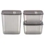 Buy Polyset Magnite Storewell Assorted Colour Rectangular Plastic Container (Set of 3) - Design ...
