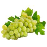 Buy Grapes Dilkush 1 kg Online at Best Prices in India - JioMart.