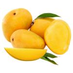 Buy Mango Badami 1 kg Online at Best Prices in India - JioMart.