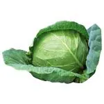 Buy Cabbage 1 pc (Approx 600 g - 1000 g) Online at Best Prices in India ...