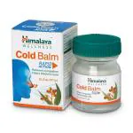 Buy Himalaya Cold Balm Rapid Action 45 gm Online at Best Prices in ...