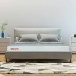 Buy Repose Eyelidz Spine Pro Orthopaedic Memory Foam Mattress Online at ...