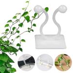 Buy JKICHNM 30pcs Invisible Wall Vines Fixing Clips Plant Climbing ...
