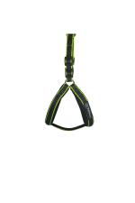 Buy Petblush Green Fluorescent Padded Harness for Dogs (L) Online at ...