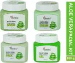 Buy Sundra Secret Herbal Aloe Vera Face and Body Kit 230 ml (Combo of 4) Online at Best Prices ...