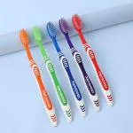 Buy Alphadent Shine Plus Toothbrush (Pack of 6) Online at Best Prices ...