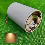 Buy OTS Lights COB Cylinder Surface Light White Body (Rose Reflector ...