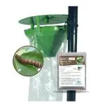 Buy GAIAGEN Spodo Lure Combo Pack - Pheromone Lures for Tobacco Caterpillar (Spodoptera litura ...