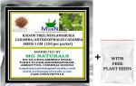 Buy MGBN THE PATH FOR THE HEALTHIER LIFE WITH BEAUTY Kadam Tree ...