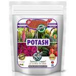 Buy Sansar Green Water Soluble Potash for plants 200 gm Online at Best ...