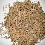 Buy Xetomos Sharpunkha Sarphokha Sarpoka Surphoka Tephrosia Purpurea ...