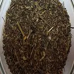 Buy Xetomos BHUMI AMLA - BHUMI AAMLA - BHOOMI AWLA - PHYLLANTHUS NIRURI ...