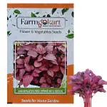 Buy Farmgokart | 10 gms AMARNATH / CHAULAI / KEERAI (RED) SEEDS |for ...