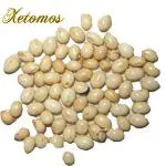 Buy Xetomos Safed Chirmiti Safed Gunja White Abrus Precatorius 200pc ...