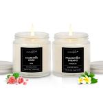 Buy Aromahpure Scented Candles (55 Hours) |Pack of 2| (100% Soy Wax)- Handcrafted | Smoke-Free ...