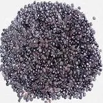 Buy Xetomos Chasku Seeds Cassia Absus 200g Online at Best Prices in ...