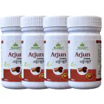 Buy Dhanwantri Natural Herbs Care Private Limited Arjun Churan ...