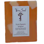 Buy TERRA SOUL Natural Pure Organic Handmade Soap-(Peach Cherry) Online ...