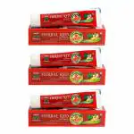 Buy Jagat Devsutra Dr. Trusted Ayurvedic HERBAL Red Toothpaste Pack of 3 (100g x 3) Online at ...