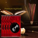 Buy Shahi Sugandh OMG Premium High Scented Agarbatti Pack Of 4 ( 180 ...