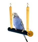 Buy Sage Square Wood Sand Perch Playful Climbing Hanging Perch Bird ...