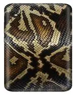 Buy Wrap Craft Fancy Sticker Printed Multicolor Back Skin High Quality ...