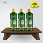 Buy Park Daniel Premium Green Tea Shampoo, 100 Ml Each (Pack Of 3 ...