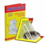 Buy MyHomesWorld Mouse Glue Mouse Insect Rodent Lizard Trap Rat Catcher ...