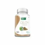 Buy SEYA Giloy Powder (Guduchi/Giloy,Gulvel) for Diabetes, 100gm (Pack ...