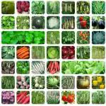 Buy Flare Seeds 45 Variety of Vegetables Seeds 30 Per Packet Online at ...