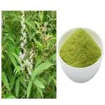 Buy Vi Vethan Nochi ilai (Chinese chastetree) powder 100gm Online at ...