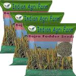 Buy Iagrifarm Fodder Bajra Seeds - 3 Kg - Multi Cut for Fodder Cultivation Online at Best Prices ...