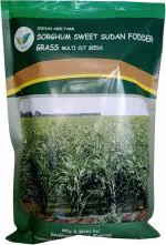 Buy Sorghum Sudan Grass Multi Cut Fodder Seeds Pack of 2 Kg Online at Best Prices in India ...