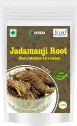Buy Yamkay Jadamanji Root Spikenard Musk Nardostachys Jatamansi Musk ...