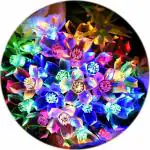 Buy Meneon - Illuminate Your Thoughts Flickering Multicolor Rice Lights ...